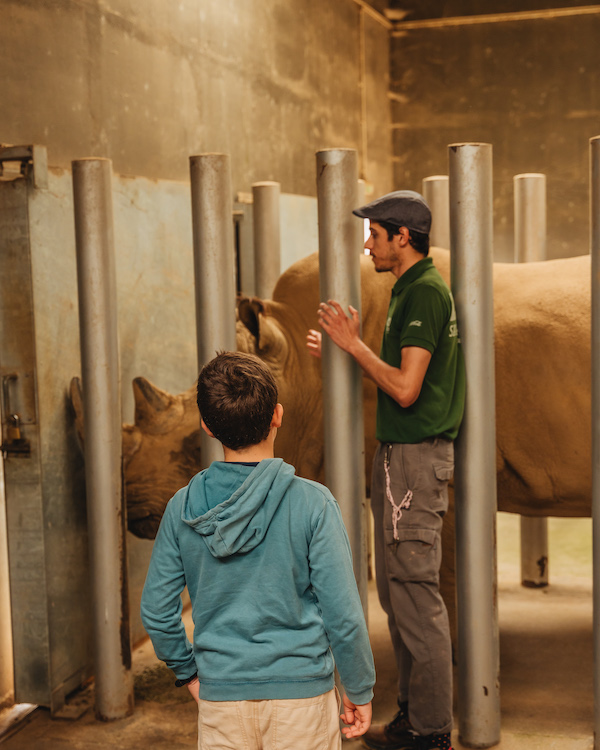 Zoo Santo Inácio | Experiência Guiada para Descobrir de perto o Mundo ...