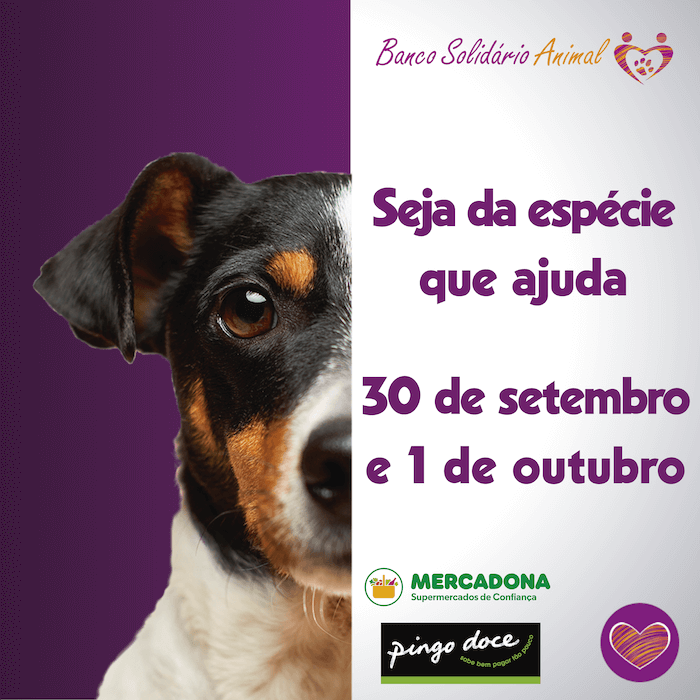 Banco Solidário Animal (BSA) | 32ª Iniciativa regressa já amanhã - Mais ...