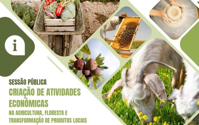 Loulé | Sessão sobre Agricultura, Floresta e Transformação de Produtos ...