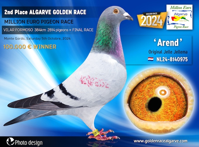 Columbófilo alemão ganha a prova final do Algarve Golden Race 2024 ...