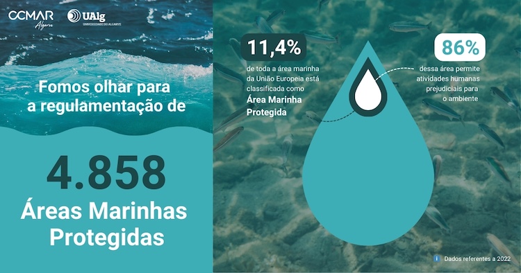 CCMAR: novo estudo revela que áreas marinhas protegidas da UE não estão ...
